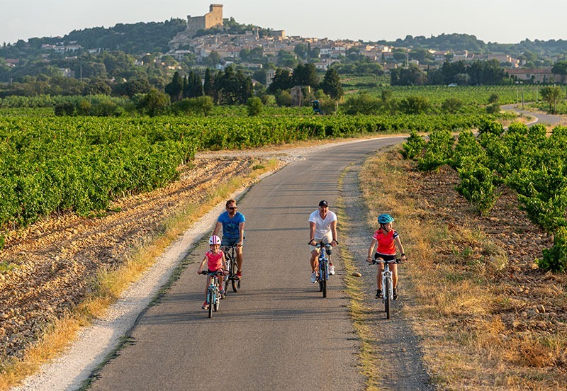 ViaRhôna, Via Venaissia… what’s new on the cycling front - Tourism ...